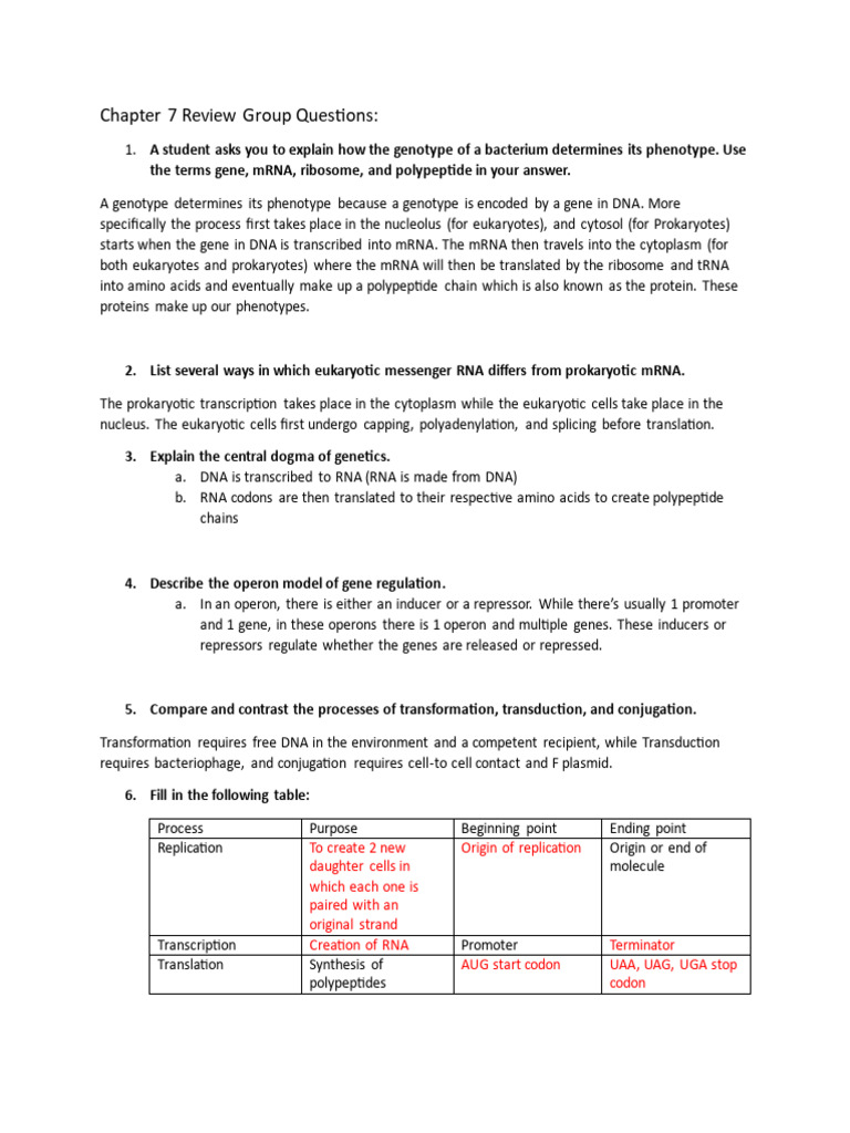 CH 7 Review Questions | PDF