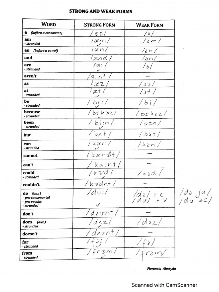 Phonology - Strong and Weak Forms - Char | PDF