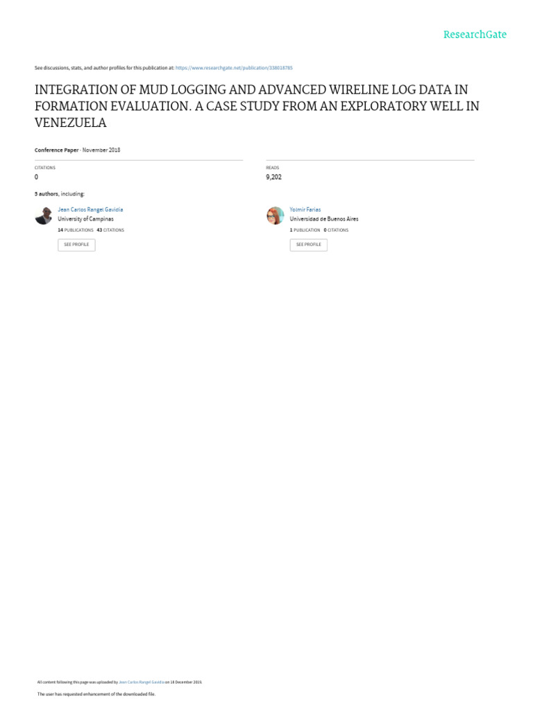 Integration of Mud Logging and Advanced Wireline Log Data in Formation ...