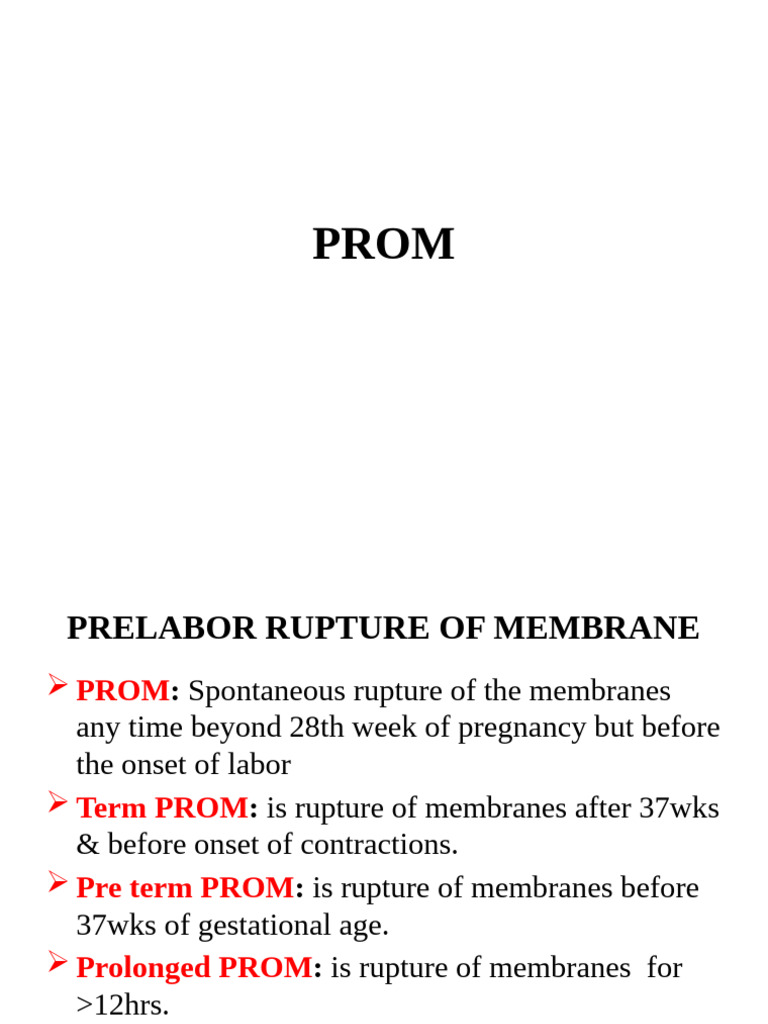 Prom | PDF