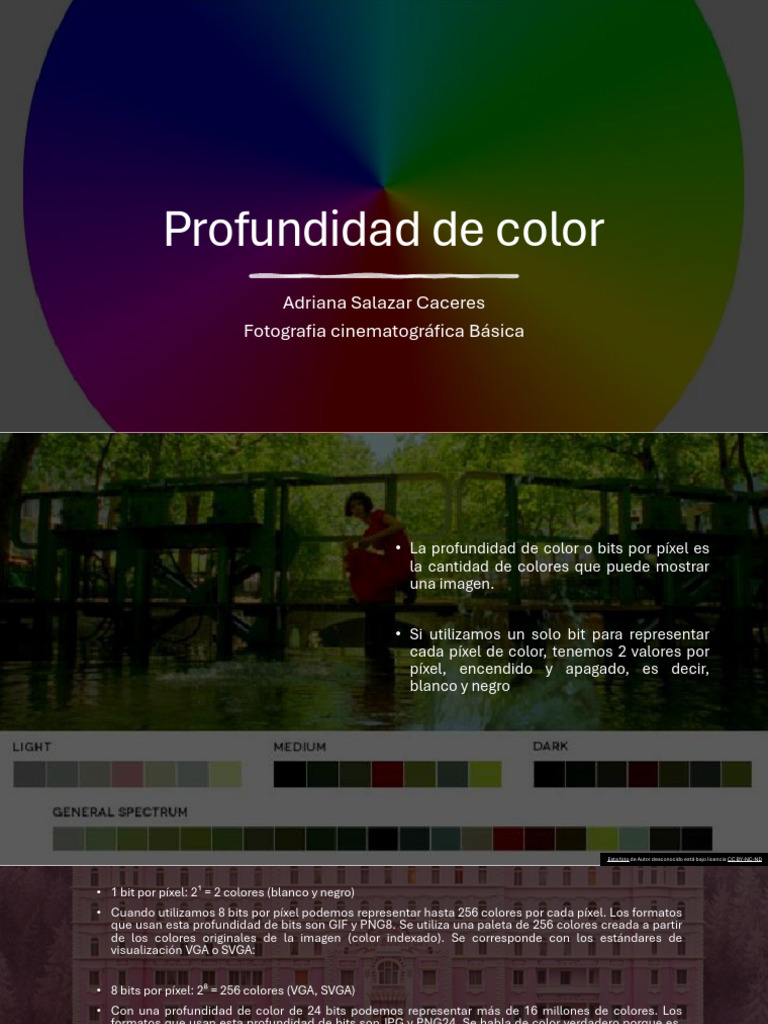 Profundidad de Color | PDF