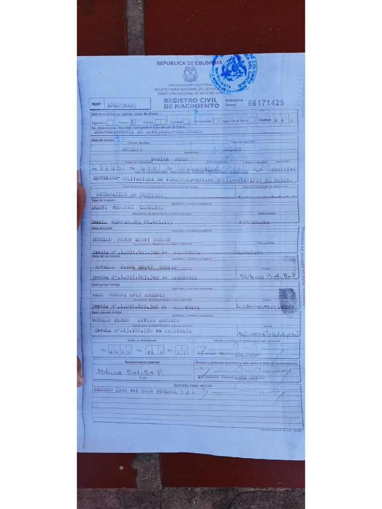 CAROLINS AMARYS MARQUEZ - Documento de Identificación | PDF