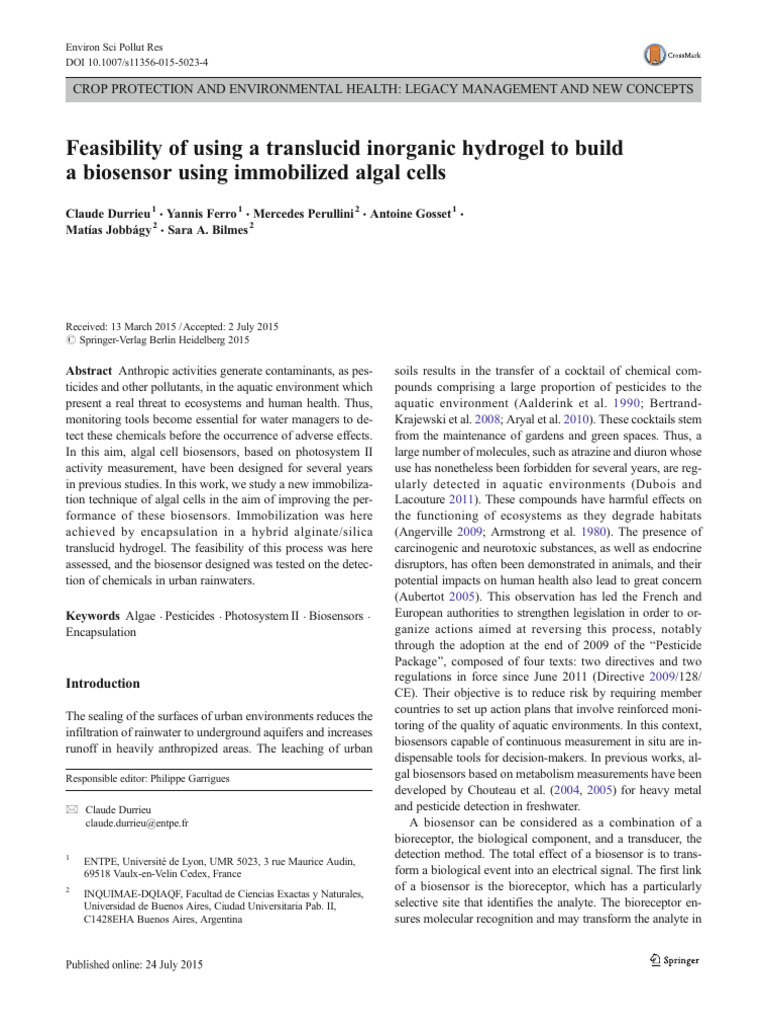 Feasibility of Using A Translucid Inorga | PDF
