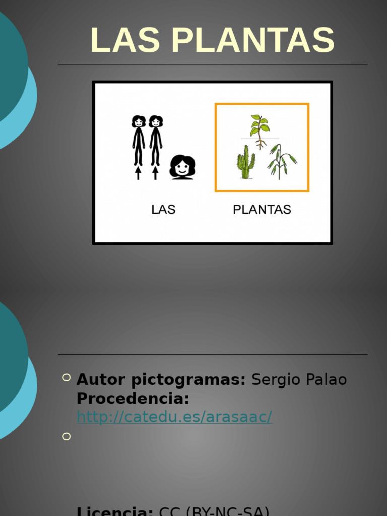 Unidad Didactica Las Plantas | PDF