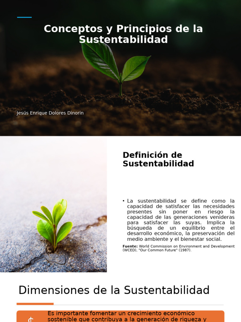Conceptos y Principios de La Sustentabilidad | PDF