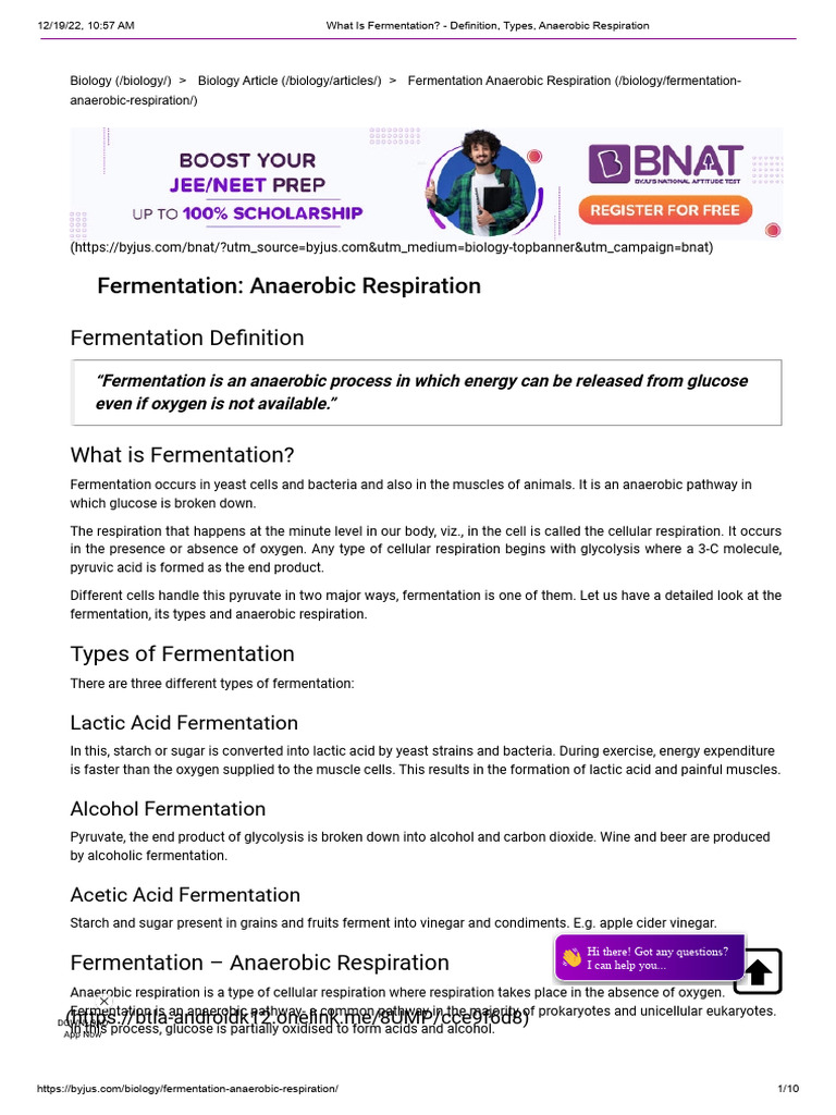What Is Fermentation - Definition, Types, Anaerobic Respiration | PDF ...