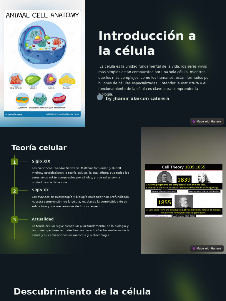 Introduccion A La Celula | PDF