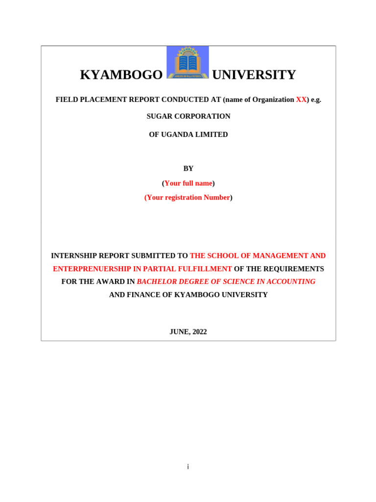 Accounting Internship Report Sample (1) Priya | PDF