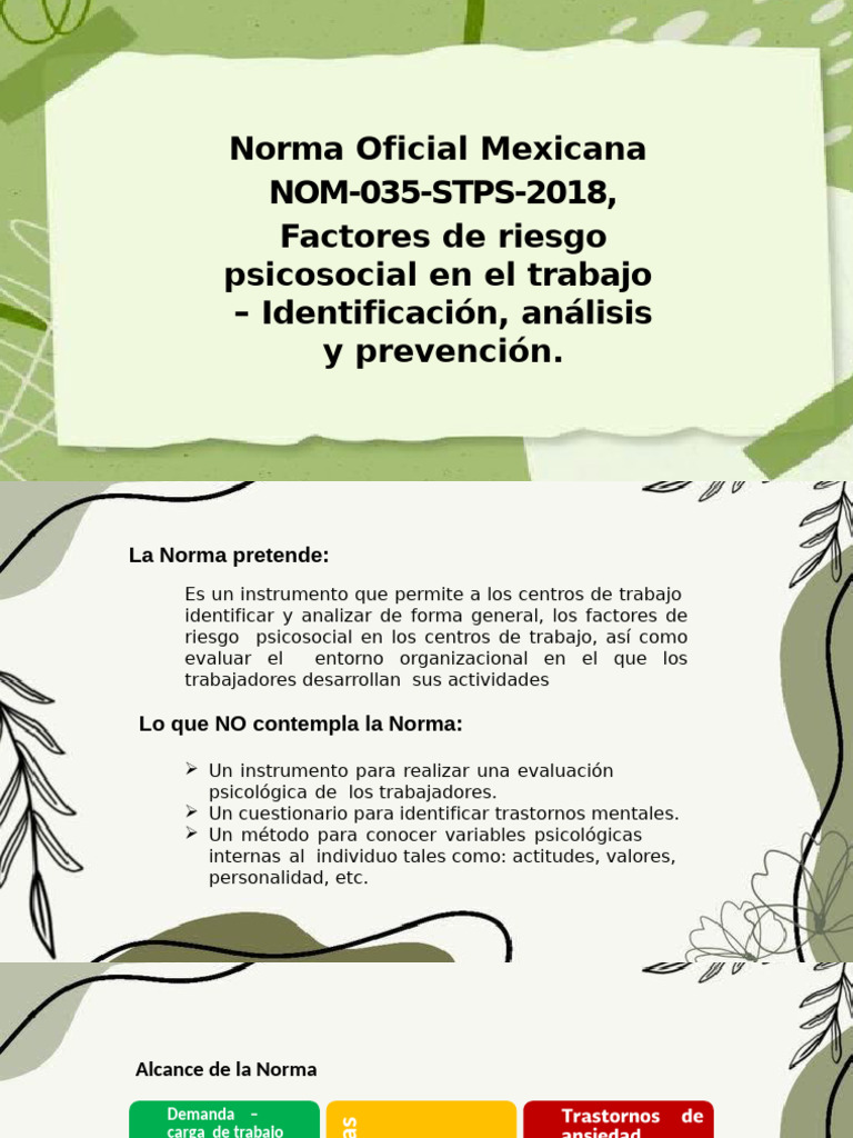 Nom 035 STPS 2018 Presentacion Conferencia STPS | PDF