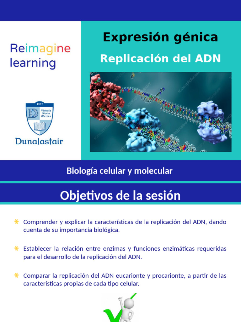 3 - Presentación Replicación del ADN | PDF