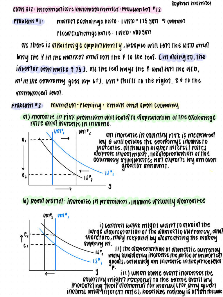 Macroeconomics Problem #12 | PDF