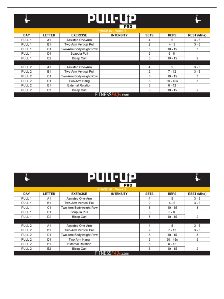 Pull Up Pro Phase 2 PDF | PDF