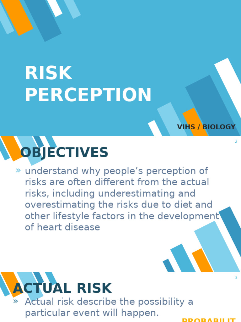 Risk Perception | PDF