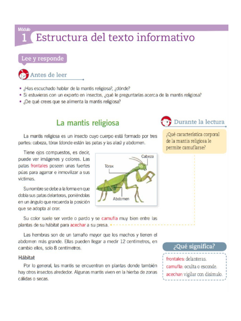 Estructura de Un Texto Informativo Clase 1 | PDF