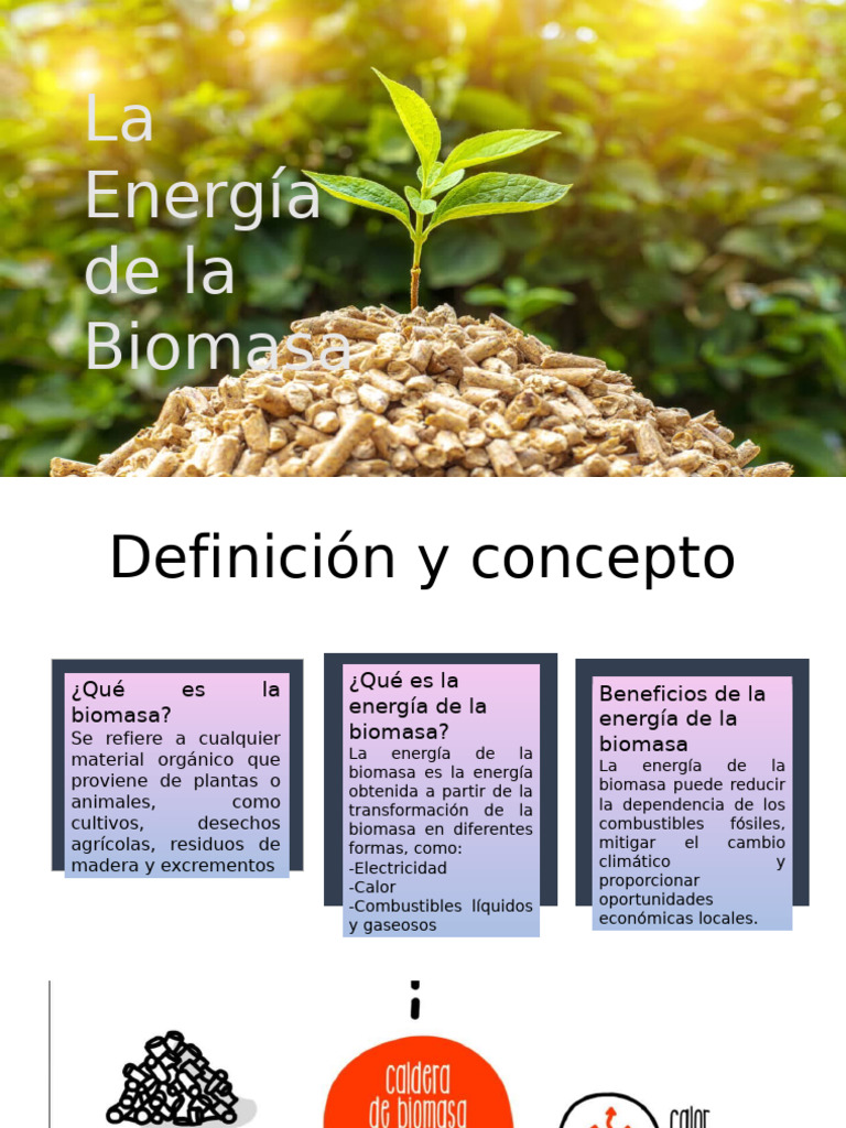 Energia de La Biomasa 2 | PDF