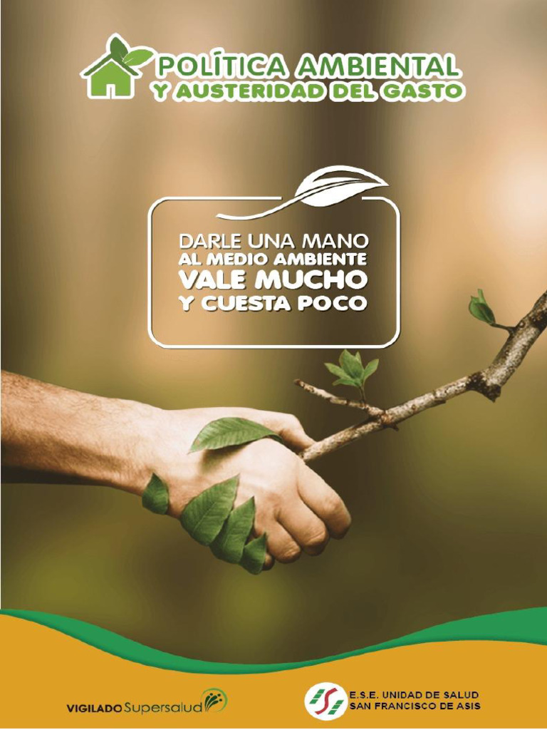 POLITICA AMBIENTAL Y AUSTERIDAD DEL GASTO | PDF
