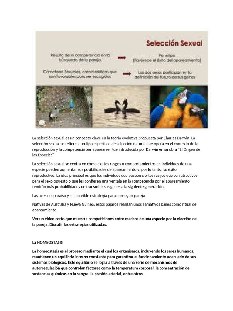 La Selección Sexual Es Un Concepto Clave en La Teoría Evolutiva ...