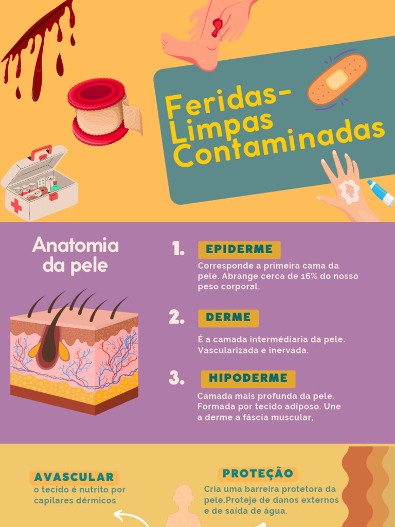 Feridas | PDF