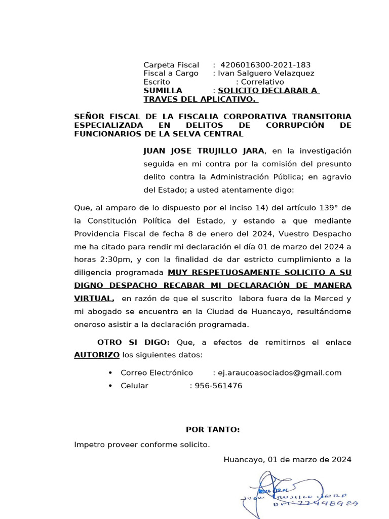 Declaracion Virtual | PDF