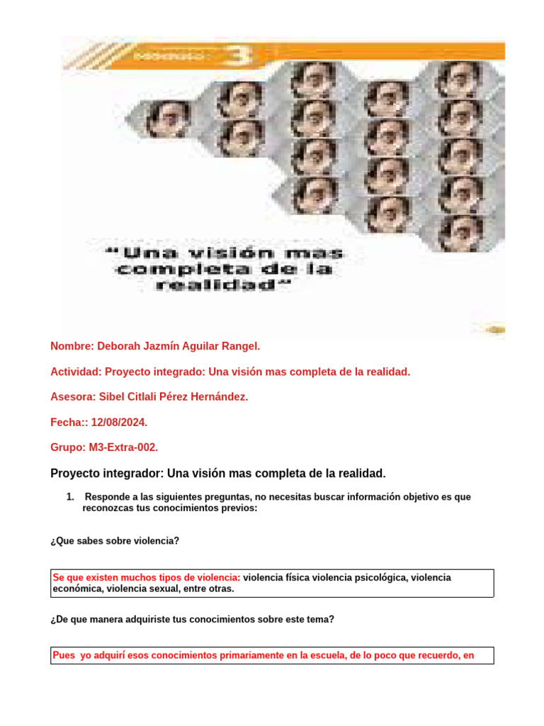 Proyecto Integrador. Una Visión Más Completa de La Realidad | PDF