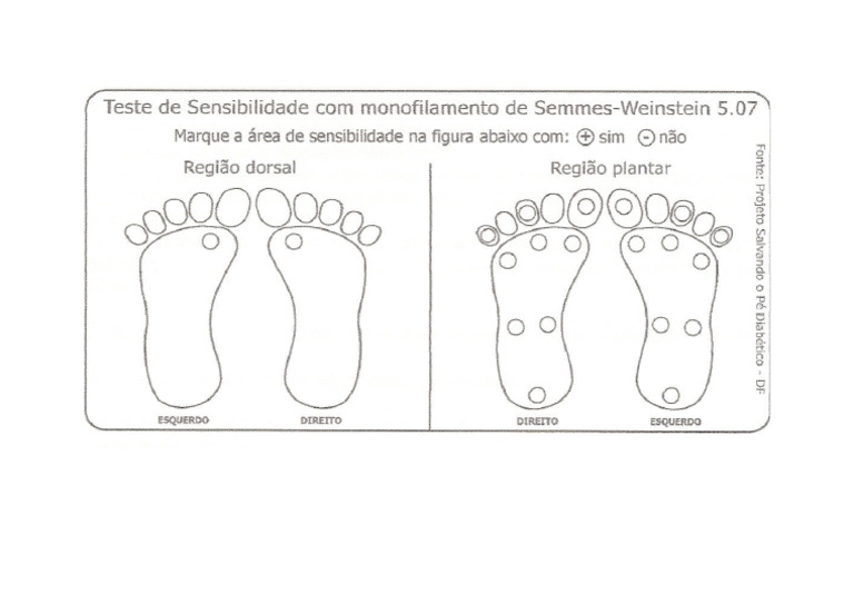 Semmes Weinstein Pé | PDF