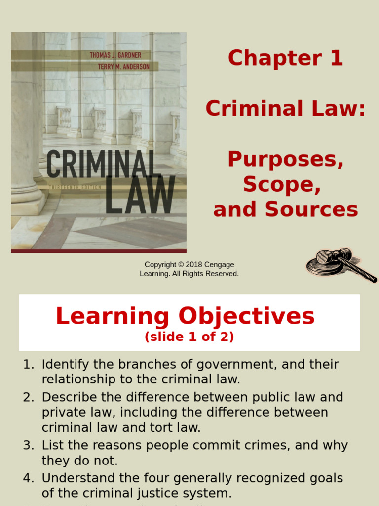 Ch01 GardnerAnderson13e PPT C | PDF