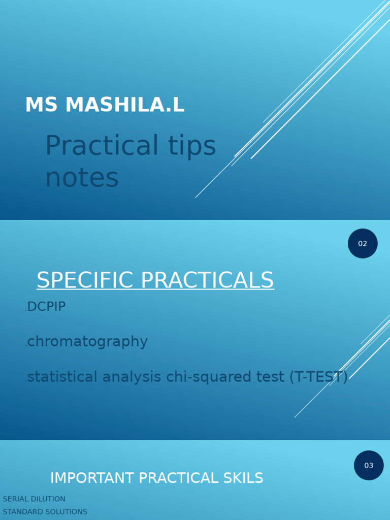 Ms Mashila, A Level Prac Notes | PDF