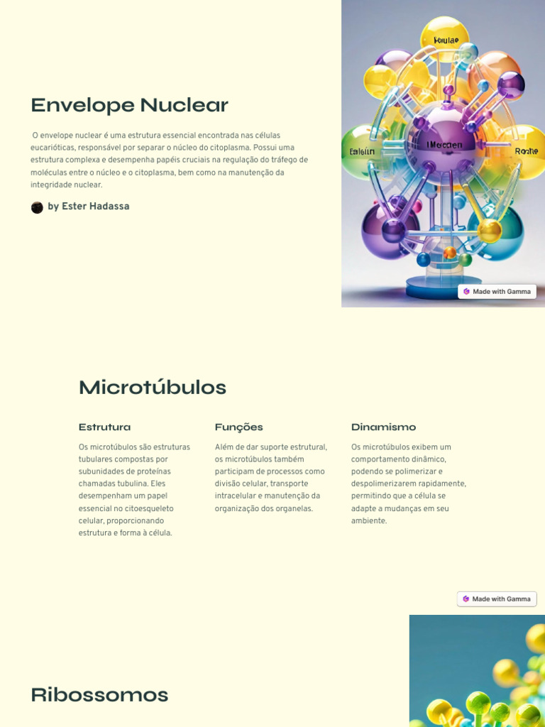 Envelope Nuclear | PDF