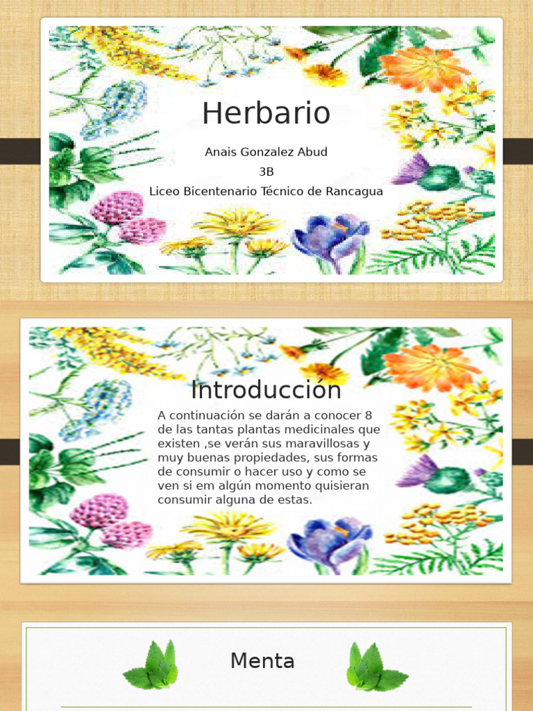 Herbario 2 | PDF
