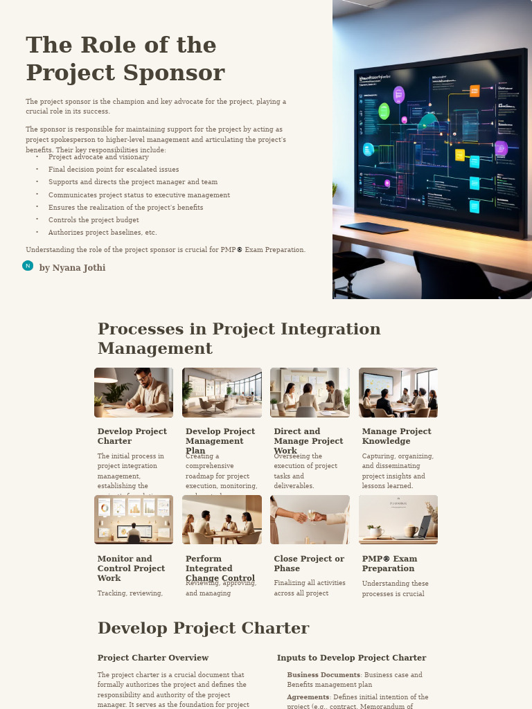 The Role of The Project Sponsor | PDF