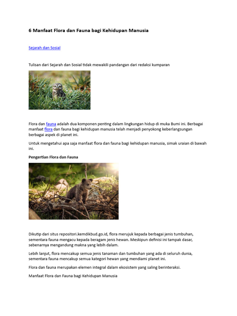 6 Manfaat Flora Dan Fauna Bagi Kehidupan Manusia | PDF