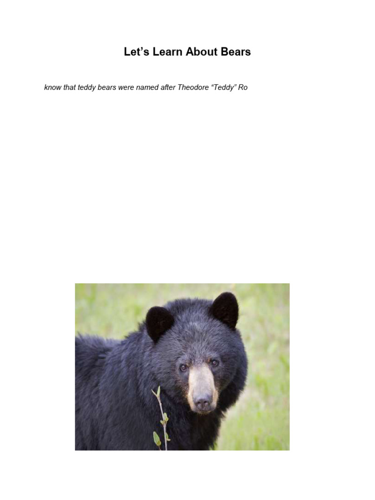 Lets Learn About Bears Pdf Bears Home Garden