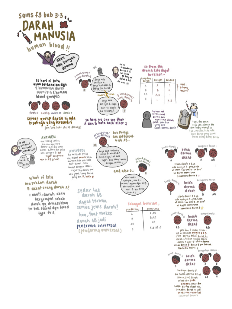 Sains f3 Bab 3.3 (Darah Manusia) Mix | PDF