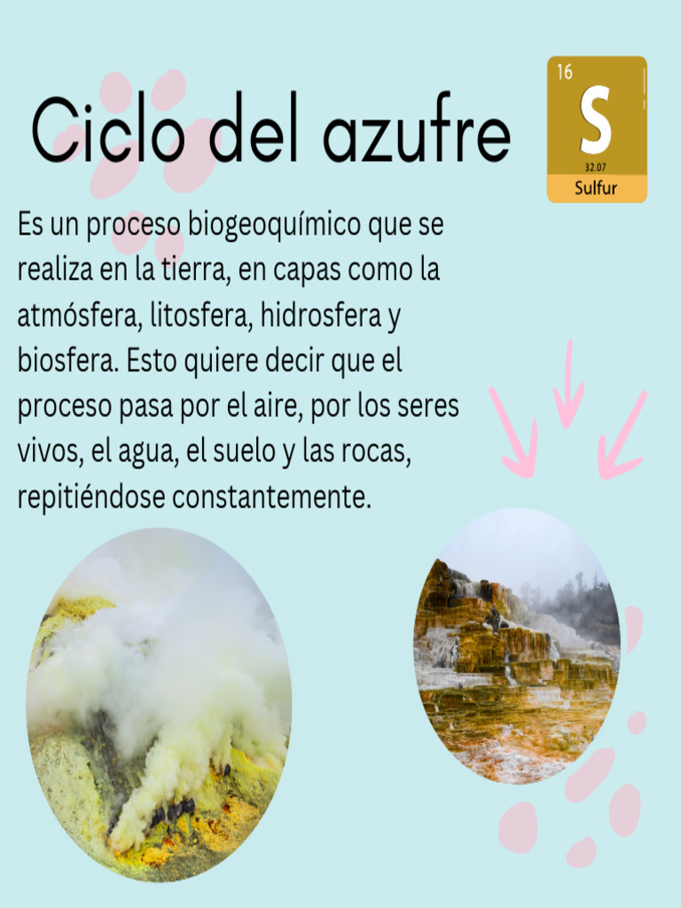 Ciclo de Azufre | PDF