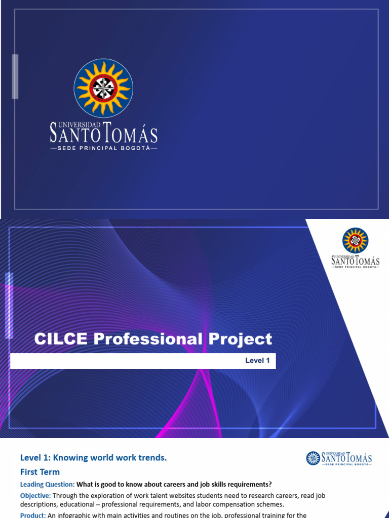 Proyecto Profesional CILCE 2024-2 | PDF