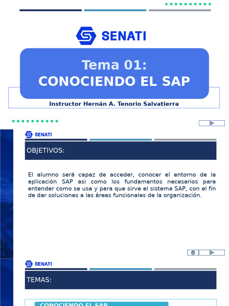 Sap 1 | PDF