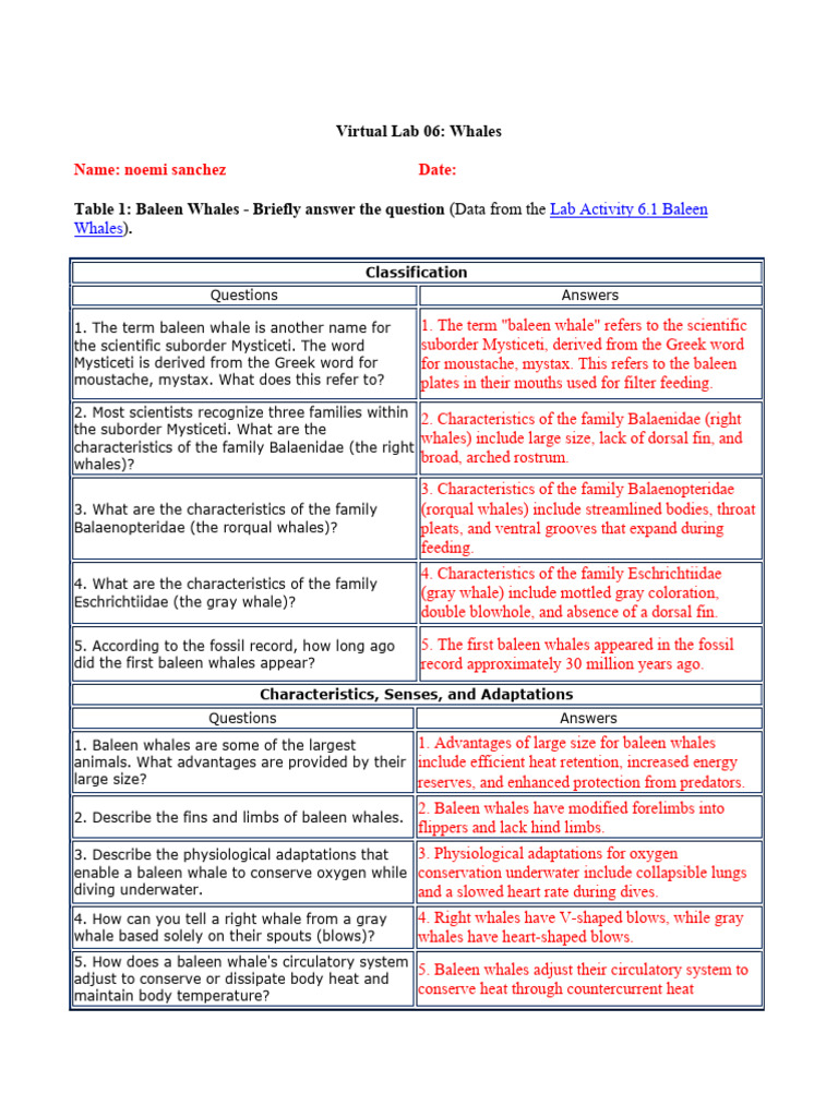 Lab 6 Answer Sheet | PDF