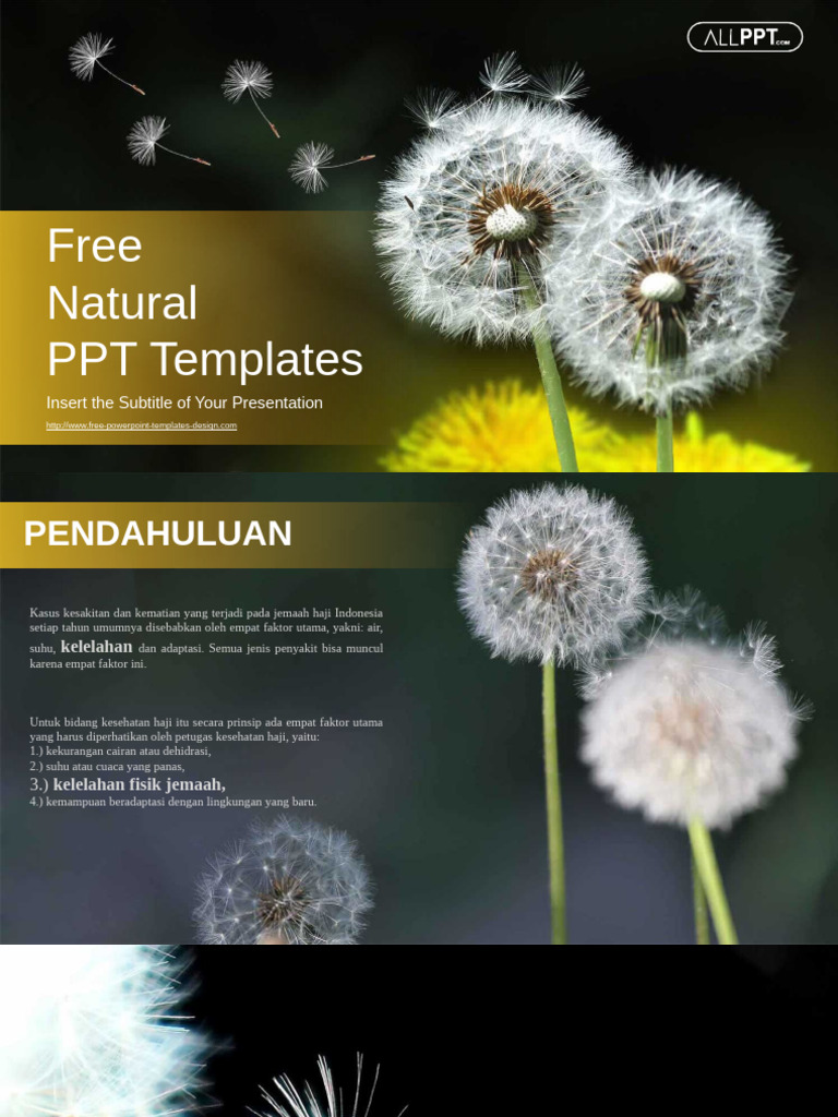 Dandelion Seeds Blowing PowerPoint Templates | PDF