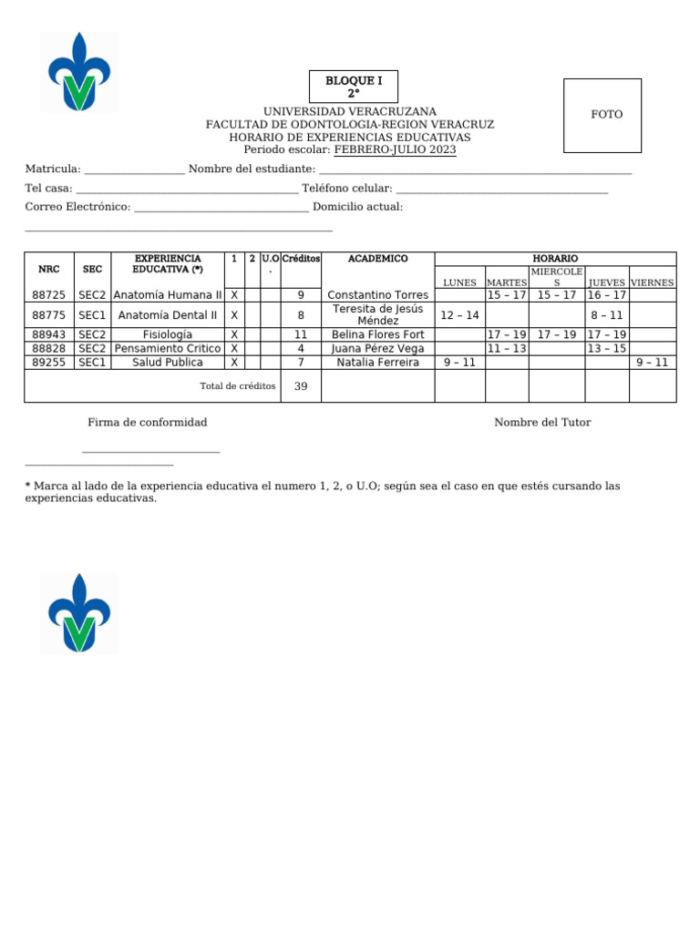 Bloques Segundo | PDF