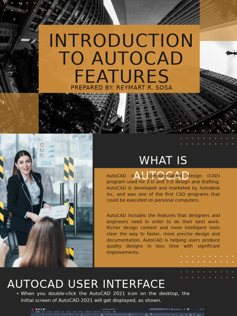 Black and Gold Modern The Building Presentation | PDF | Window (Computing) | Auto Cad