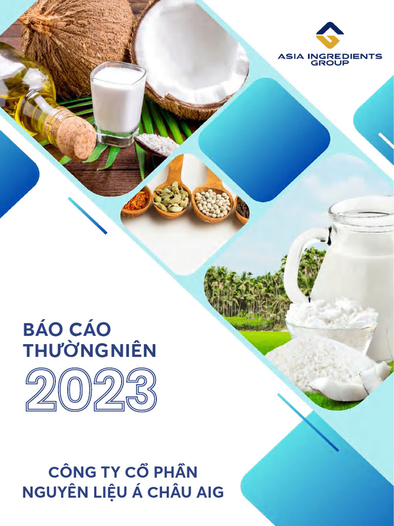 AIG Baocaothuongnien 2023 | PDF