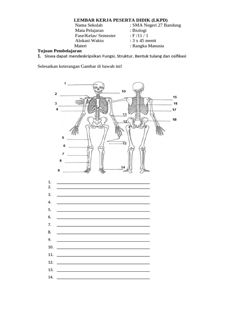 Lembar Kerja Sistem Gerak | PDF