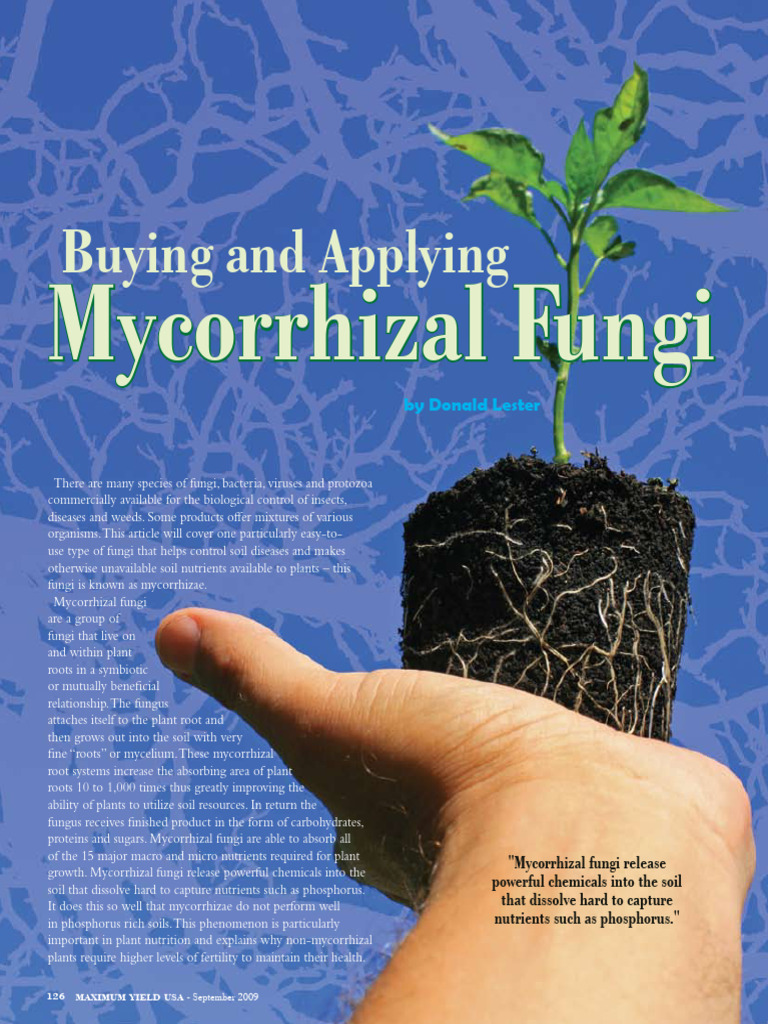 Mycorrhizae Article | PDF