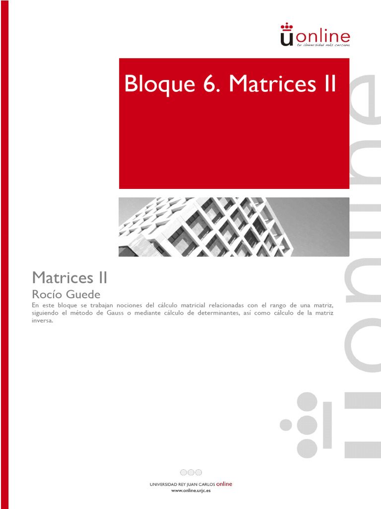 Píldora 6. Matrices II | PDF