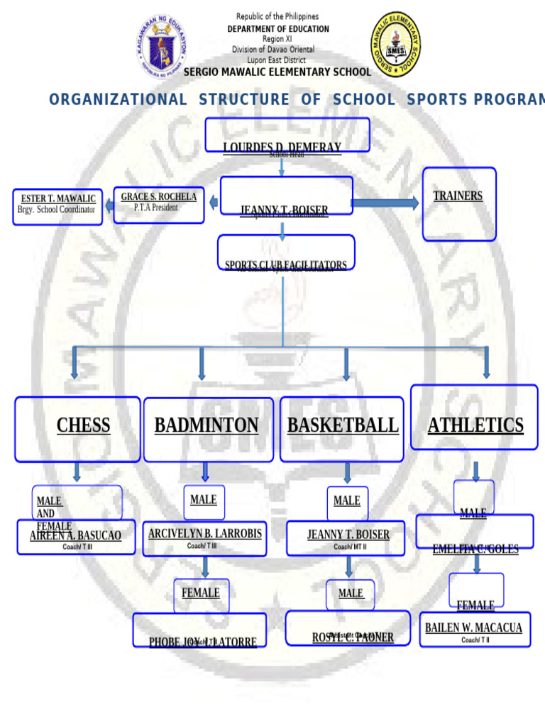 SMES Sports Organizational Chart | PDF