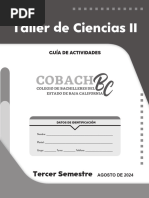 Progresiones Taller de Ciencias II | PDF | Aprendizaje | Teoría