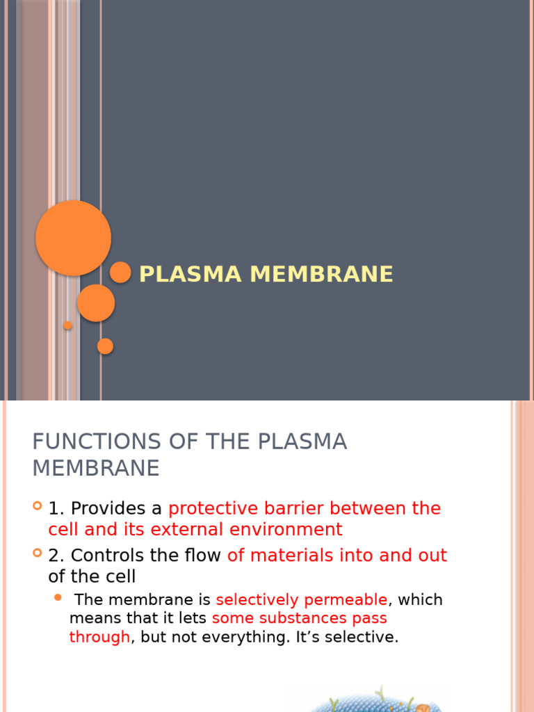 Plasma Membrane and Cell Transport2 | PDF