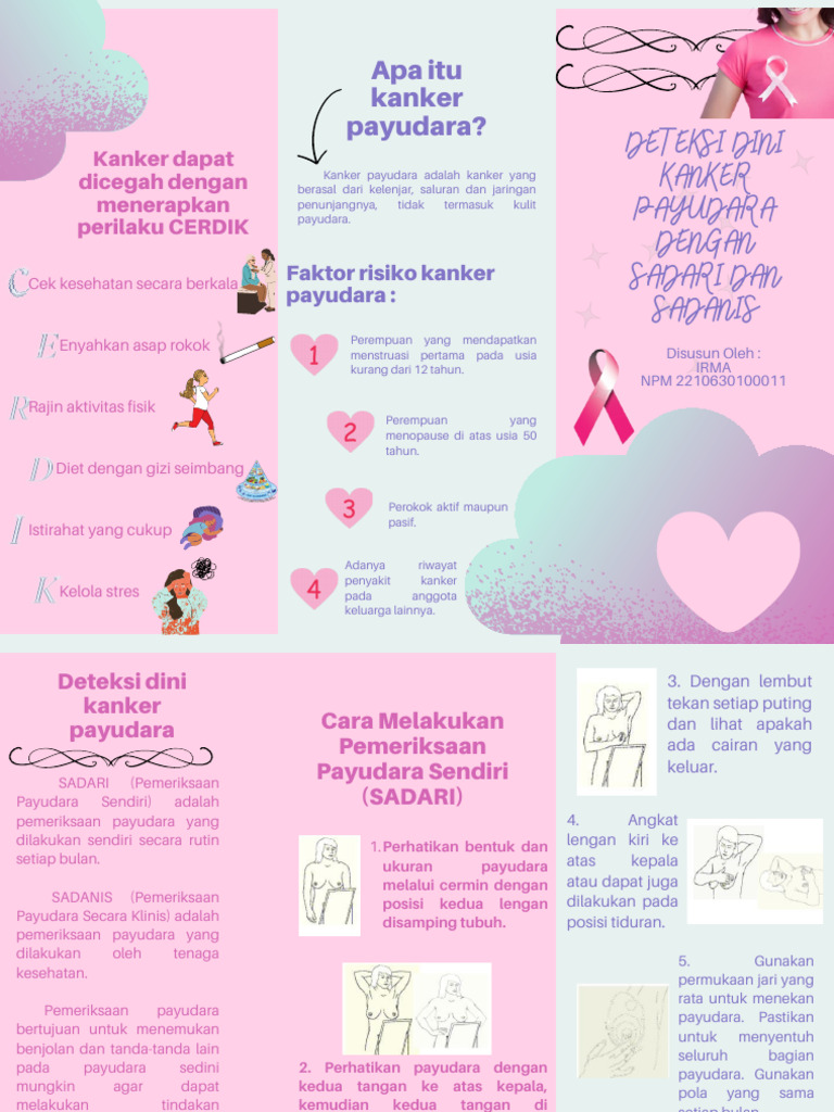 Leaflet Sadari Dan Sadanis | PDF