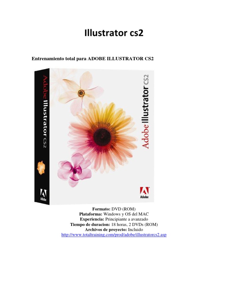 Illustrator Cs2 Ejercicios | Adobe Illustrator | Herramientas