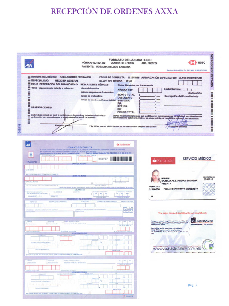 Recepción de Ordenes Axxa | PDF